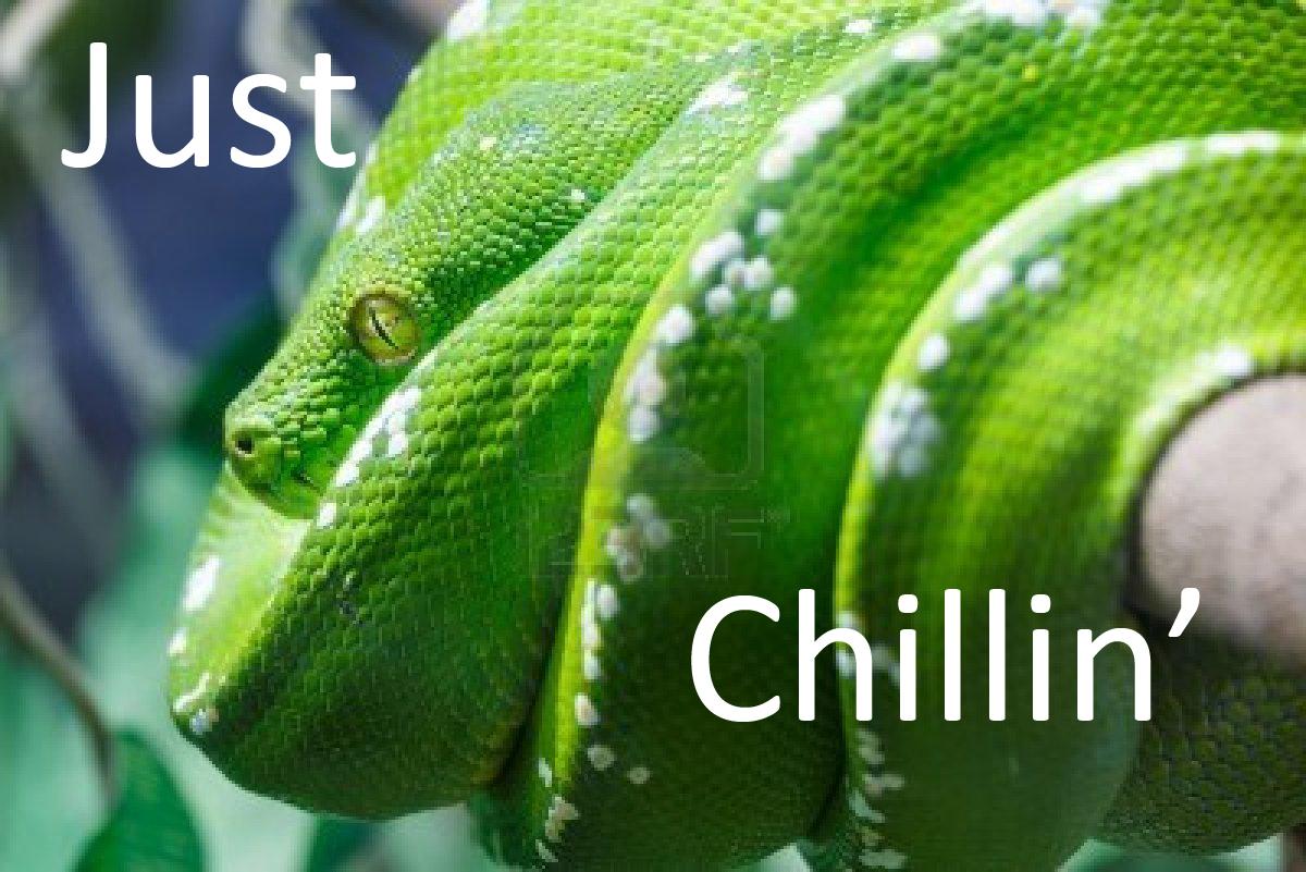 Just Chillin' #4 | Just Chillin' | Know Your Meme