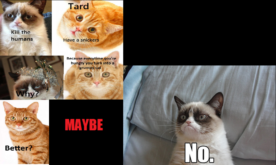 Snickers | Grumpy Cat | Know Your Meme