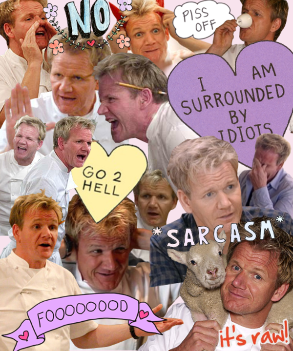 [Image - 564672] | Gordon Ramsay | Know Your Meme