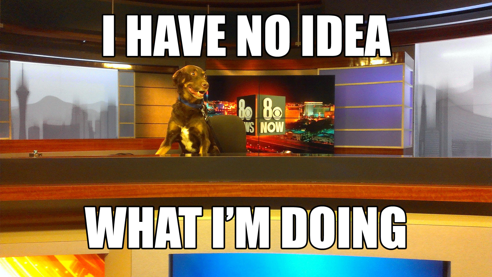 I'm Ron Furgandy | I Have No Idea What I'm Doing | Know Your Meme