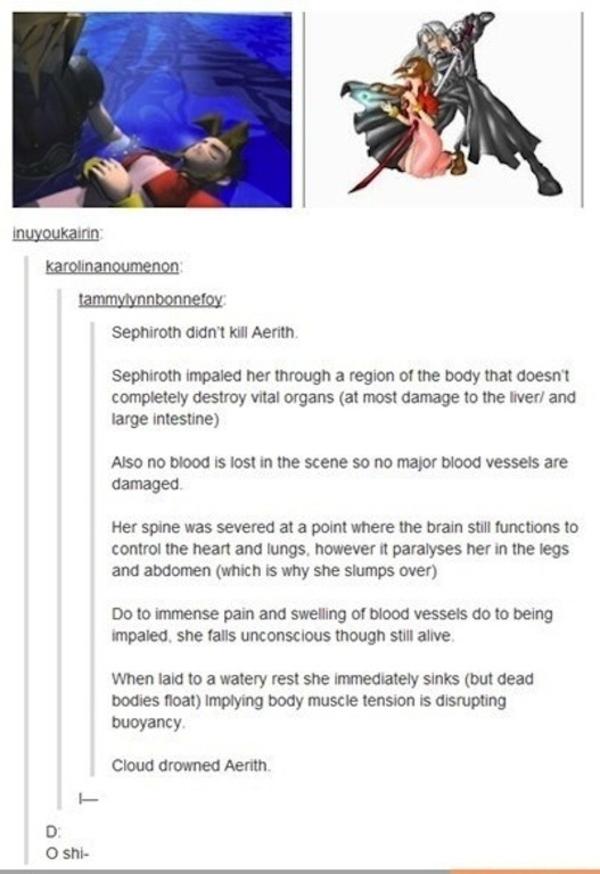 Sephiroth Didn't Kill Aerith | Tumblr | Know Your Meme