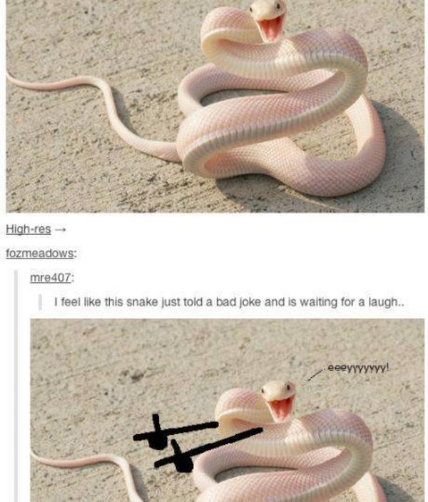 [Image - 568460] | Tumblr | Know Your Meme