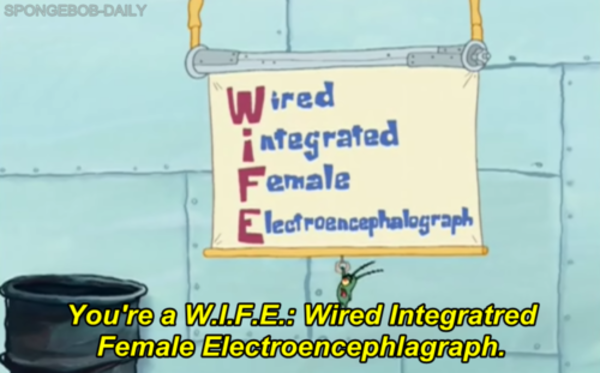 W.I.F.E | SpongeBob SquarePants | Know Your Meme