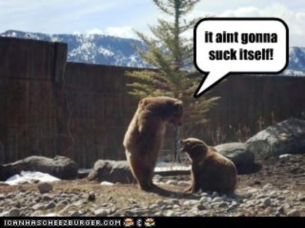 Bears! | It Aint Gonna Suck Itself | Know Your Meme