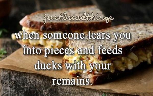 [Image - 572929] | Just Little Things | Know Your Meme