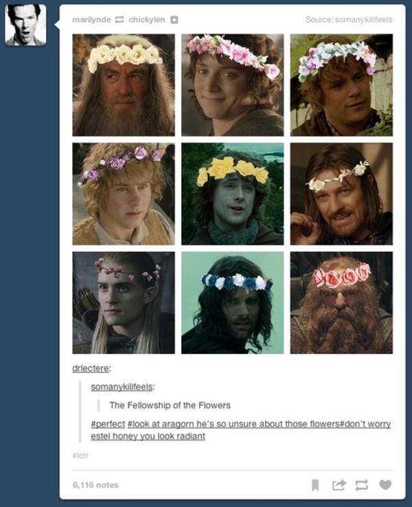[Image - 573993] | Flower Crowns | Know Your Meme