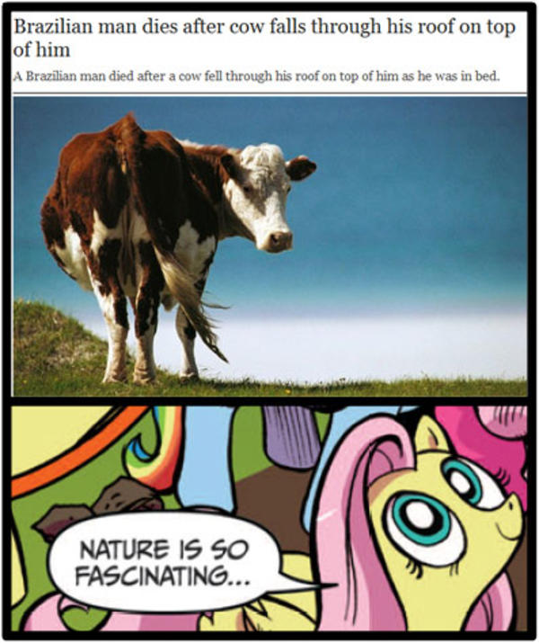 Hefer On The Roof | Nature is so Fascinating | Know Your Meme