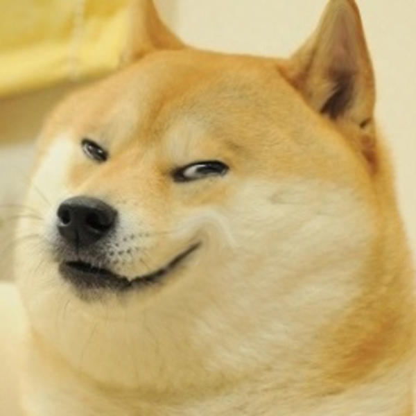 Evil Doge | Doge | Know Your Meme