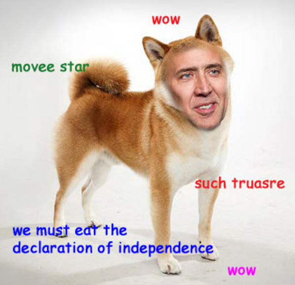 Nic Doge | Doge | Know Your Meme