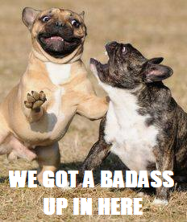 [Image - 582011] | Neil deGrasse Tyson Reaction | Know Your Meme