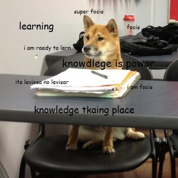 Doge in School | Doge | Know Your Meme