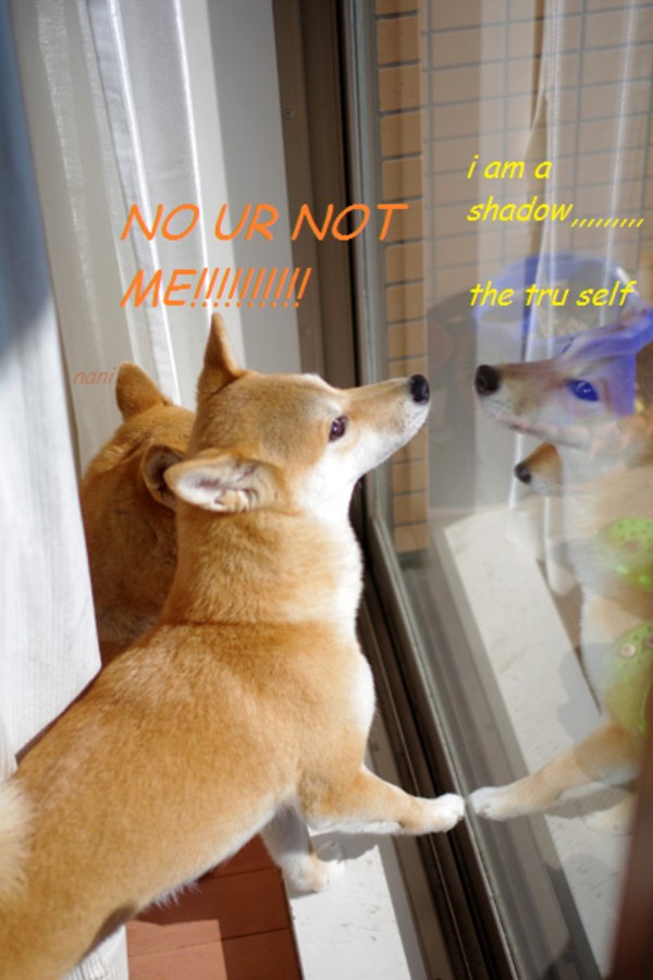 Shadow | Doge | Know Your Meme