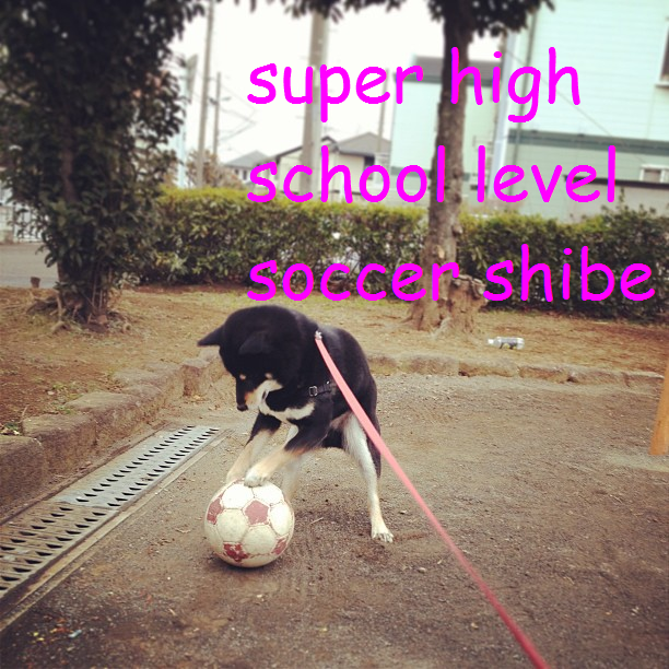 Super soccer doggy | Doge | Know Your Meme