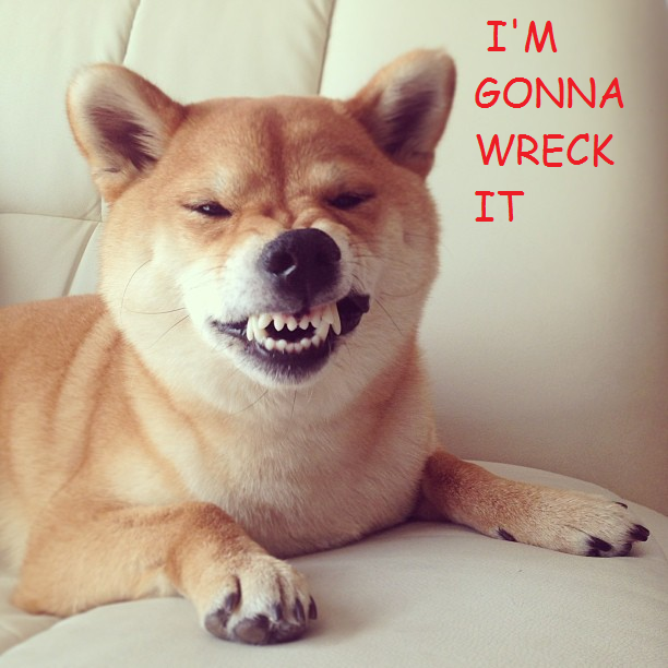 Doge gonna fuck yo shit up | Doge | Know Your Meme