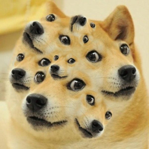 Doge | Doge | Know Your Meme