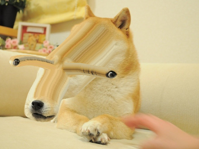 [Image - 583025] | Doge | Know Your Meme