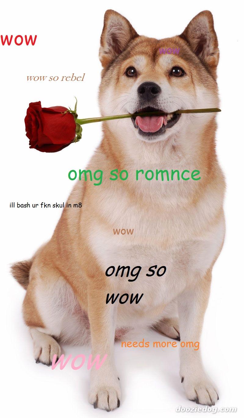 [Image - 583391] | Doge | Know Your Meme