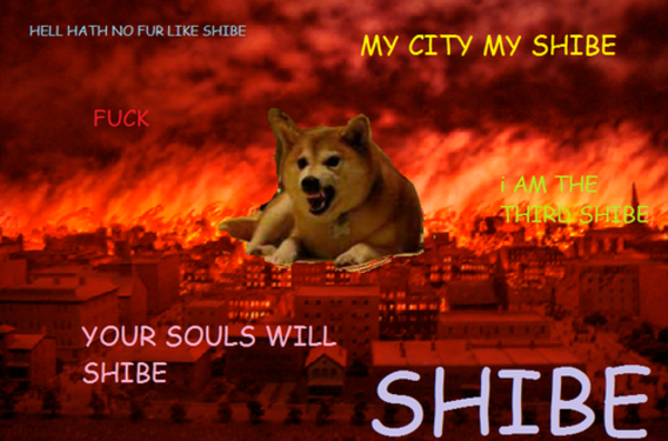 [Image - 589052] | Doge | Know Your Meme