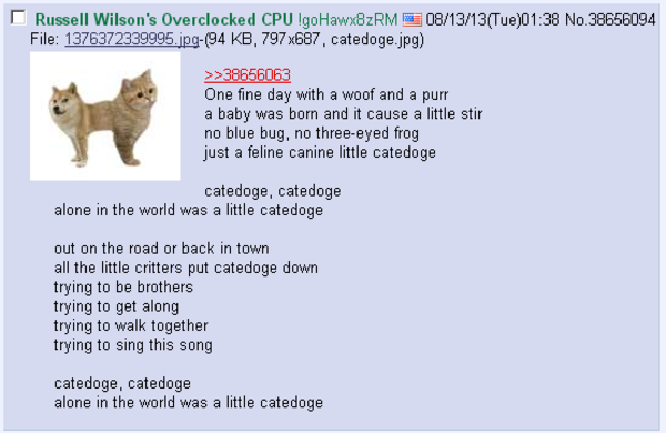 Alone in the world was a little CateDoge! | Doge | Know Your Meme