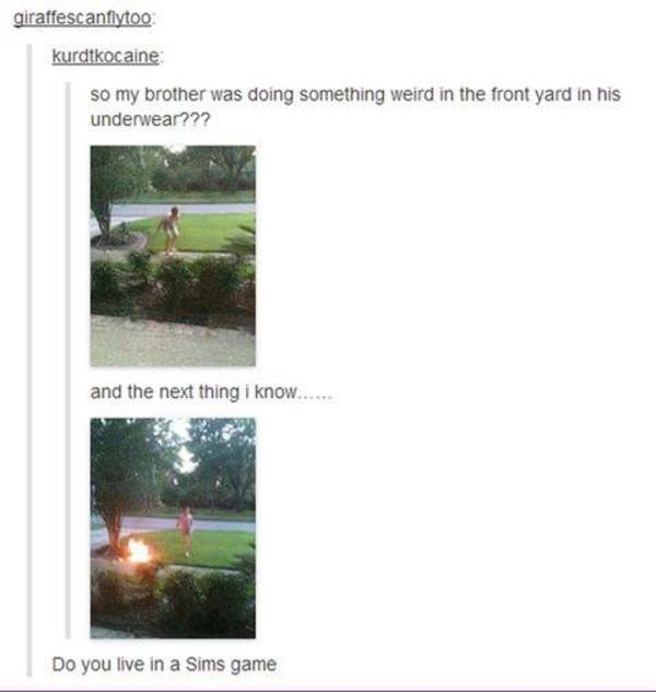 [Image - 592048] | Tumblr | Know Your Meme