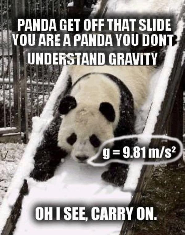 [Image - 595877] | Pandas | Know Your Meme