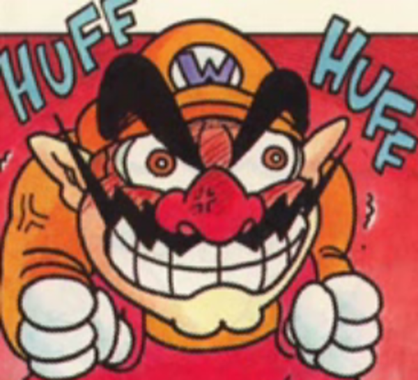 [Image - 600024] | Wario | Know Your Meme