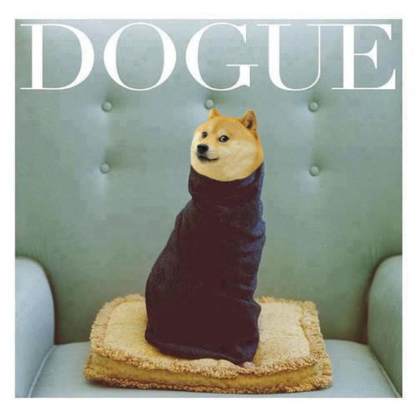 Presenting Dogue | Doge | Know Your Meme