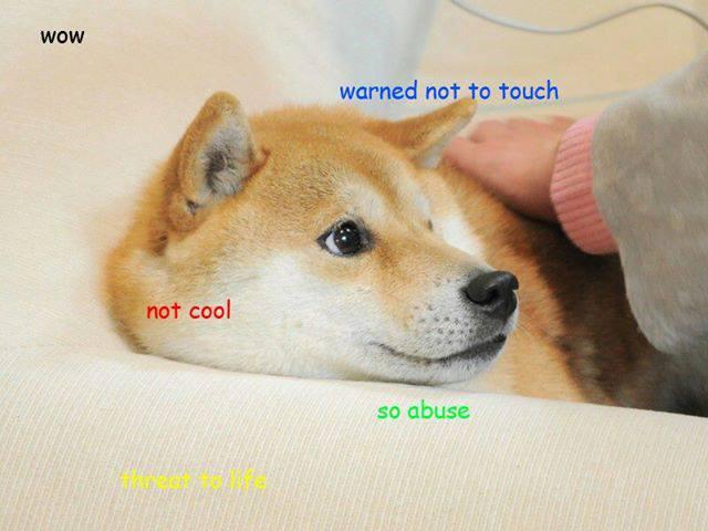 [Image - 601493] | Doge | Know Your Meme