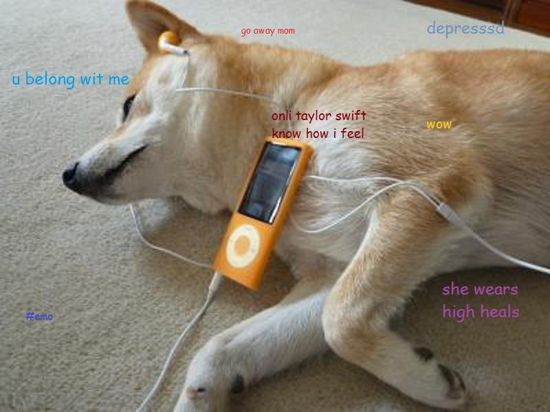 [Image - 602538] | Doge | Know Your Meme
