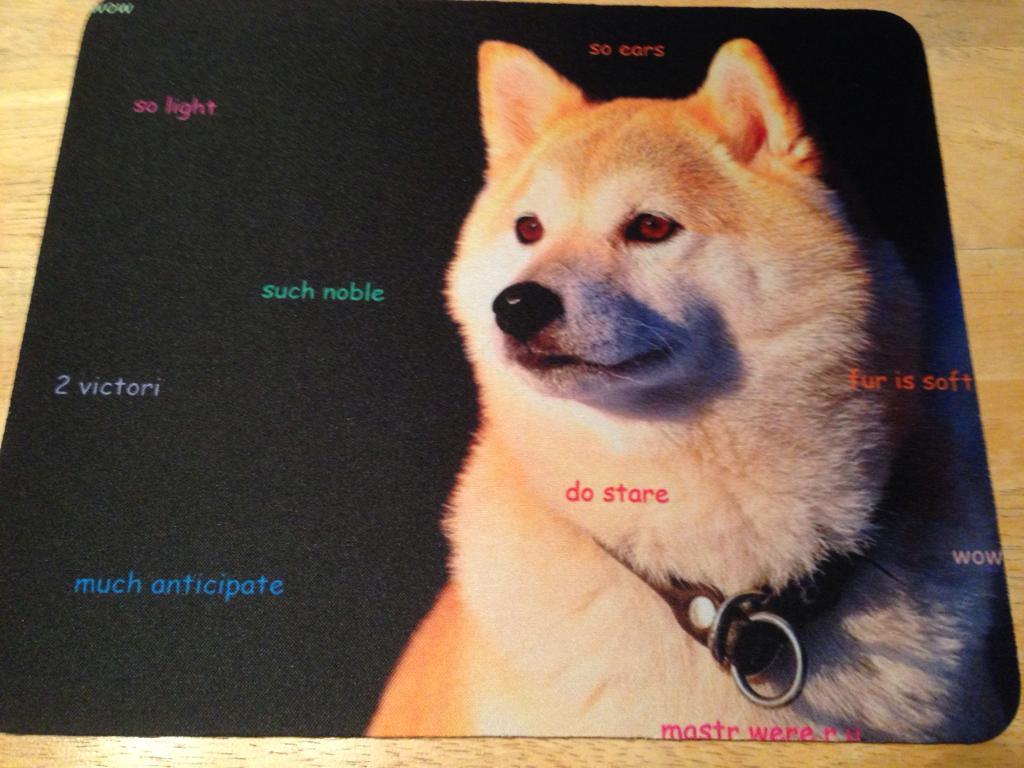 [Image - 604405] | Doge | Know Your Meme