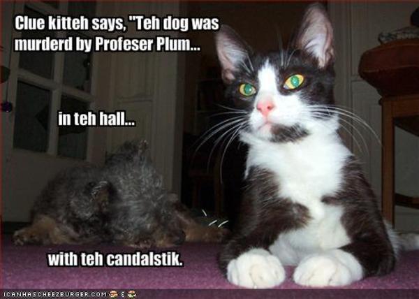 [Image - 605884] | The Frogman | Know Your Meme