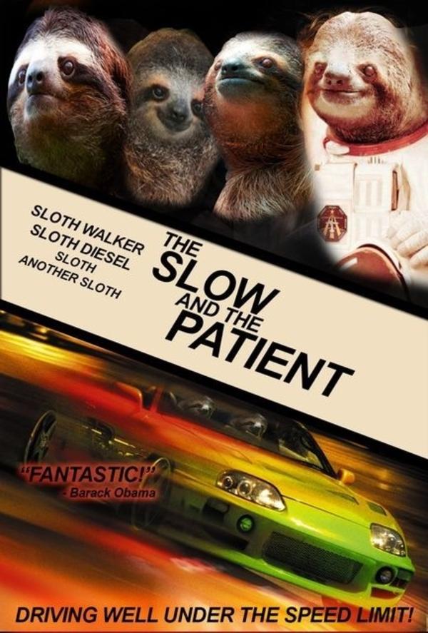[Image - 606219] | Sloths | Know Your Meme