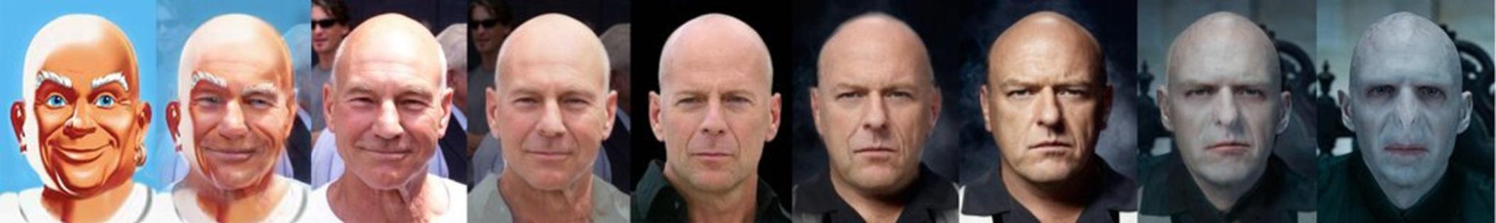 Bald people | Morphing | Know Your Meme