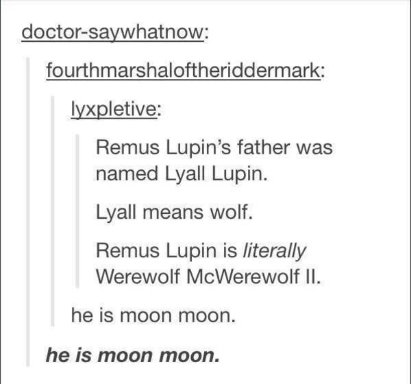 [Image - 606807] | Moon Moon | Know Your Meme