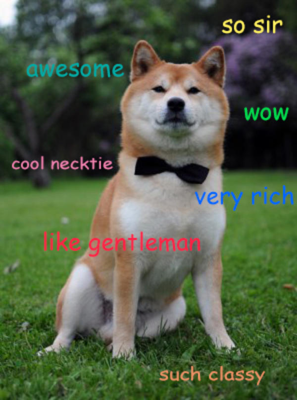 Doge necktie | Doge | Know Your Meme