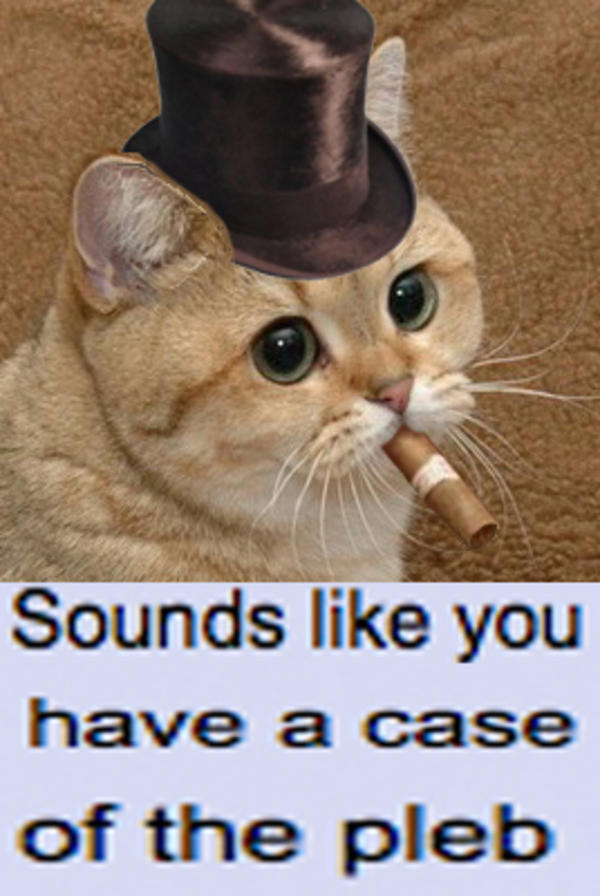 [Image - 611709] | Pleb | Know Your Meme