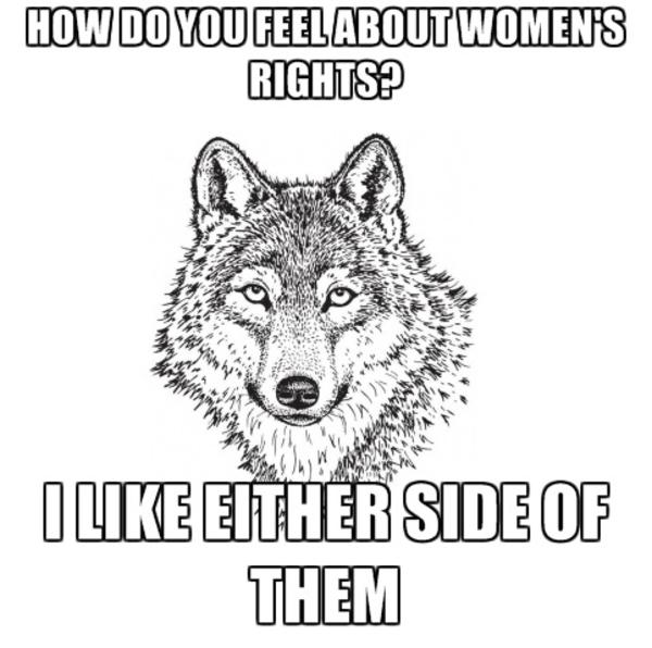 Sarcastic Wolf | Sarcastic Wolf | Know Your Meme