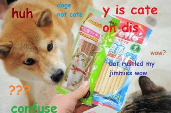 [Image - 619859] | Doge | Know Your Meme