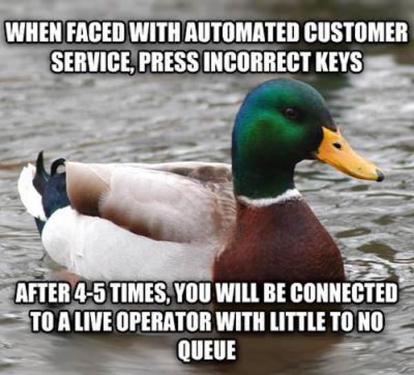 [Image - 622879] | Actual Advice Mallard | Know Your Meme