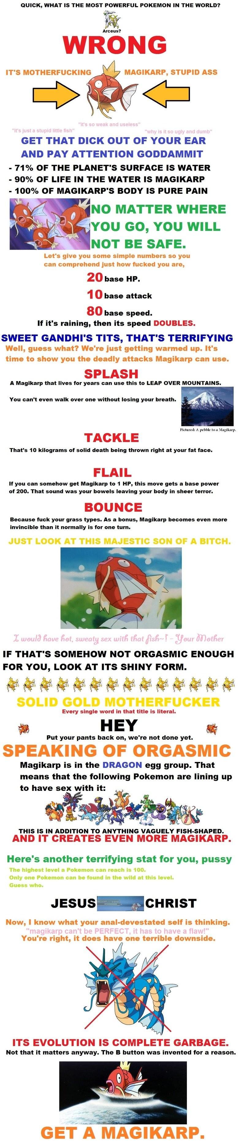 [Image - 625350] | Magikarp | Know Your Meme