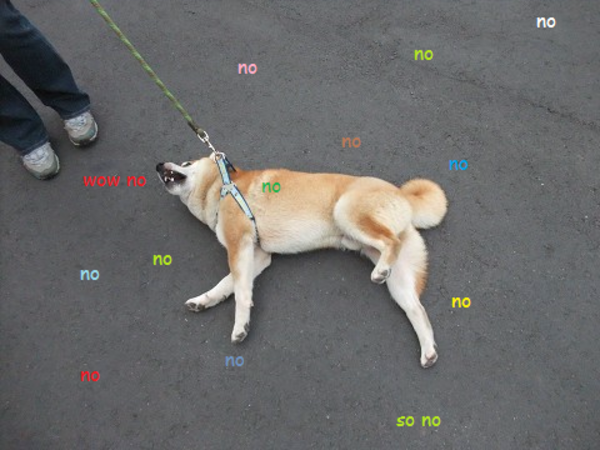 Such Attitude, Very Disobedience | Doge | Know Your Meme