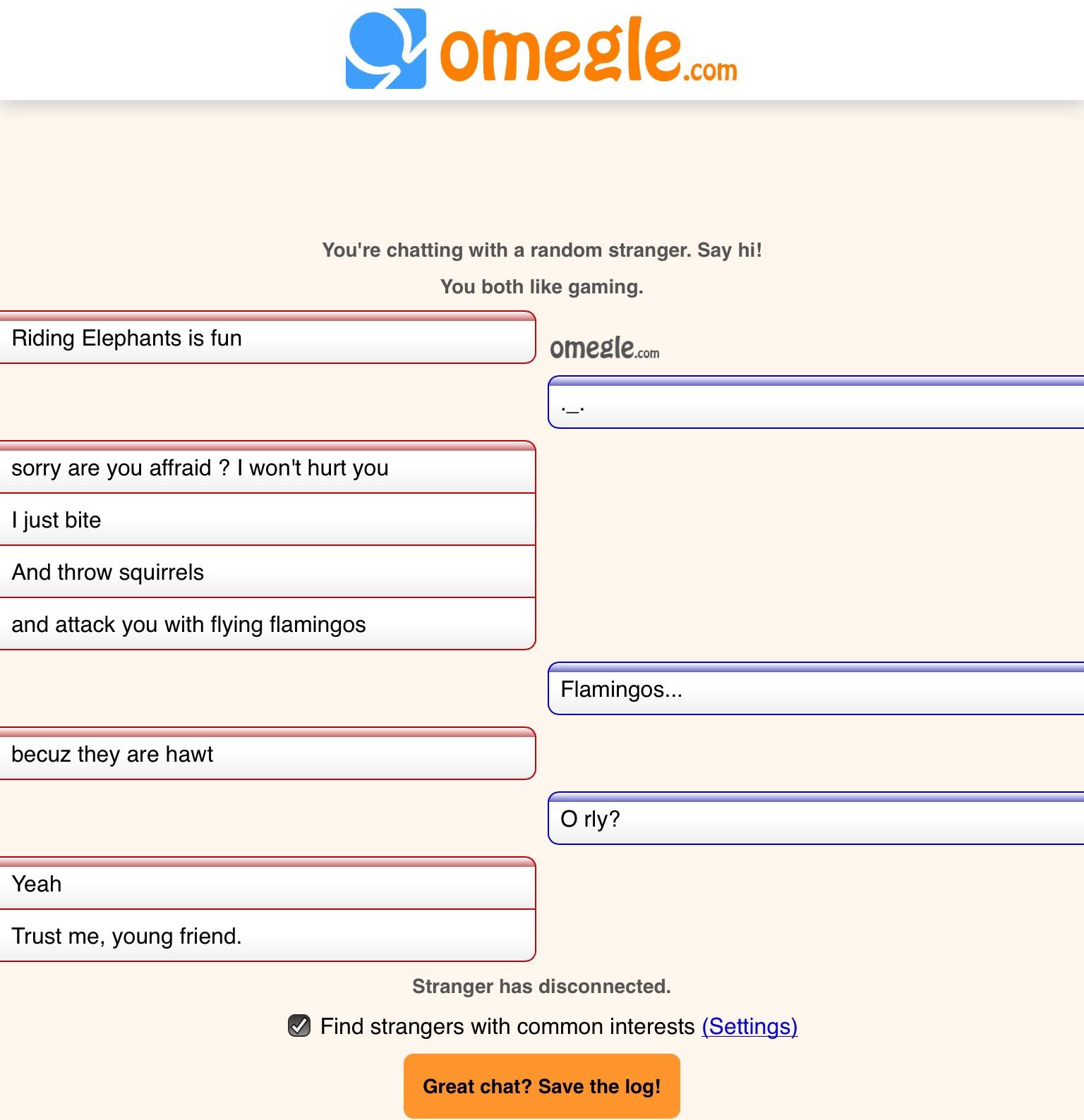 A Very Interesting Chat On Omegle Omegle Know Your Meme