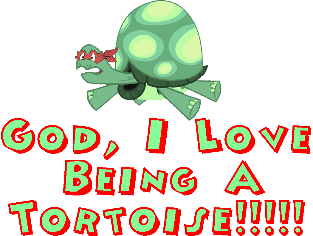God, I love being a tortoise!!!!! | My Little Pony: Friendship is Magic ...
