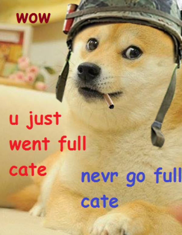[Image - 627517] | Doge | Know Your Meme
