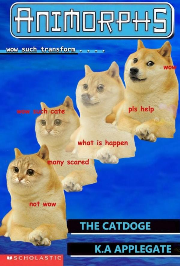 save us. wow. | Doge | Know Your Meme