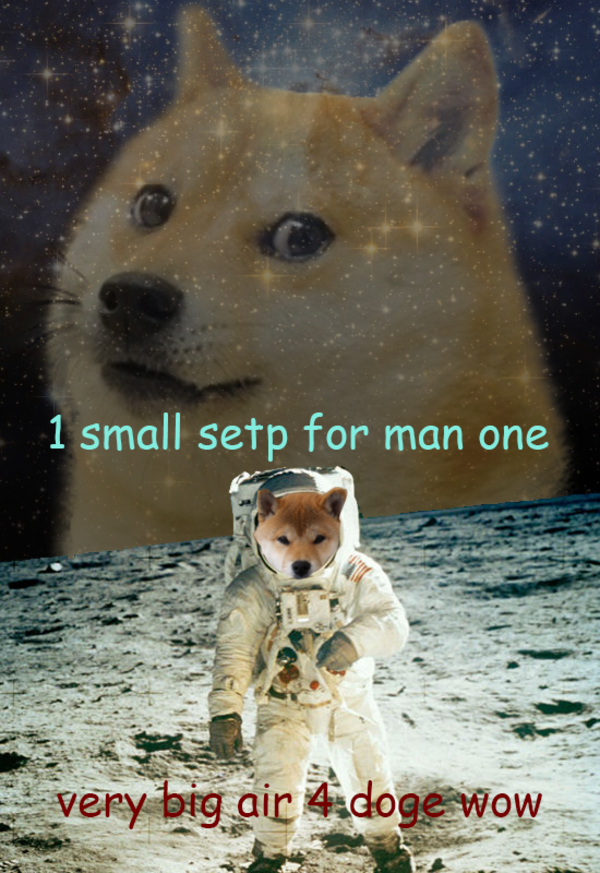 [Image - 629844] | Doge | Know Your Meme