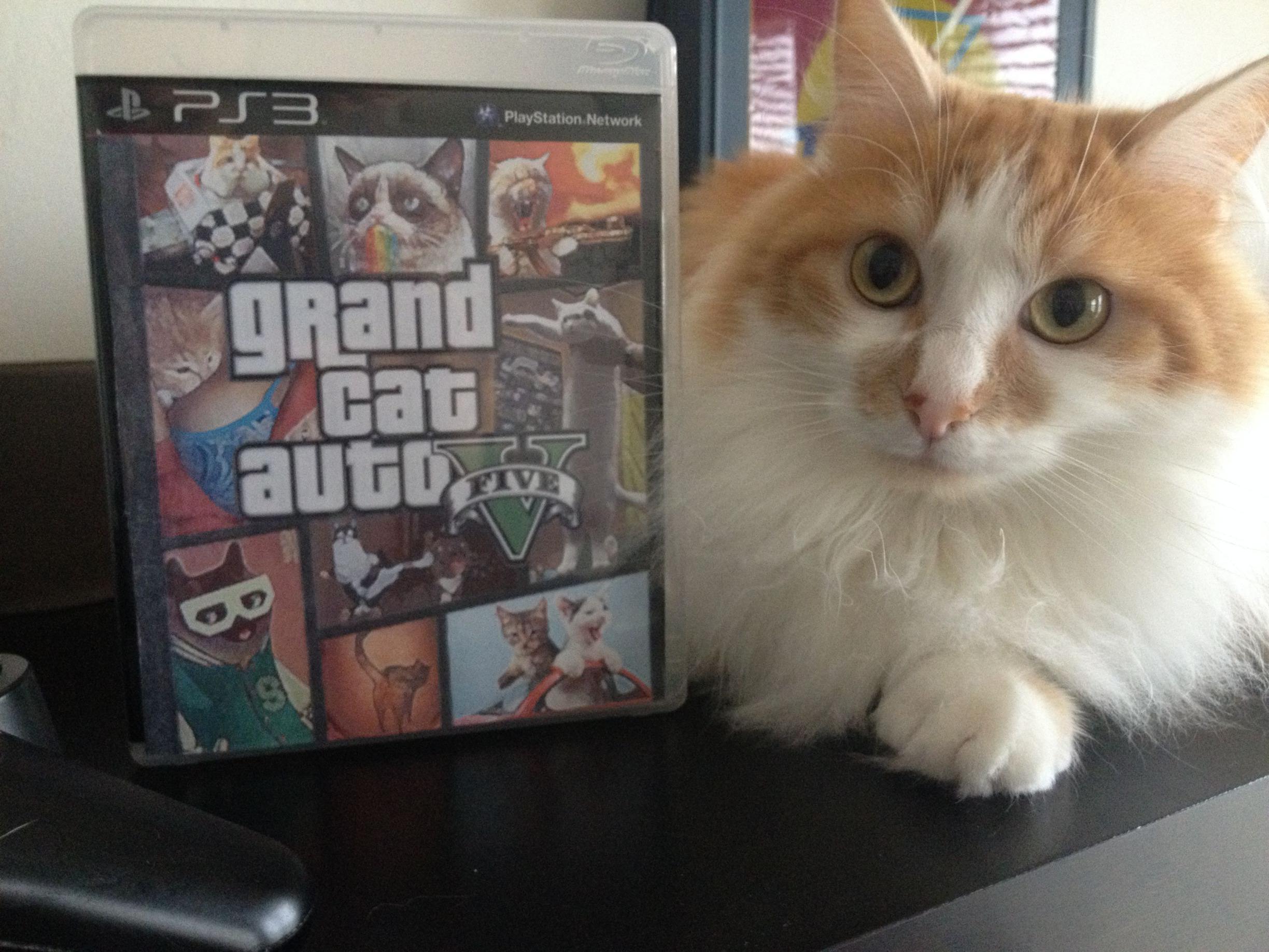 Grand Cat Auto V | Grand Theft Auto Cover Parodies | Know Your Meme