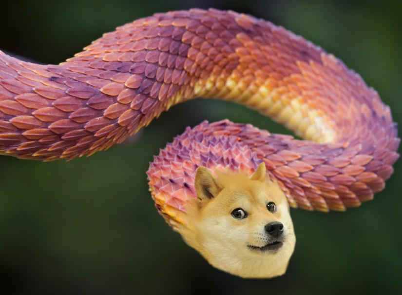 Doge Viper™ | Doge | Know Your Meme