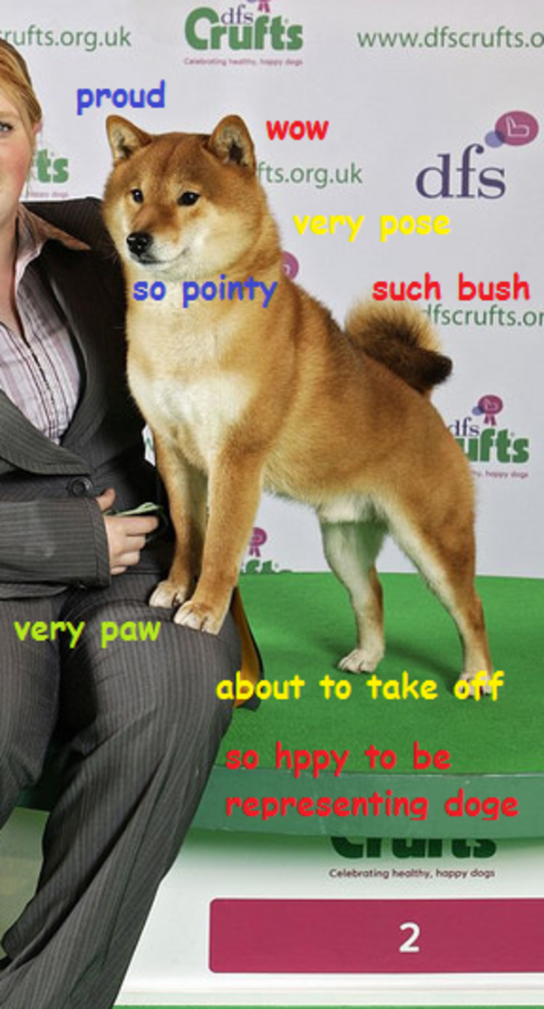 proud doge | Doge | Know Your Meme