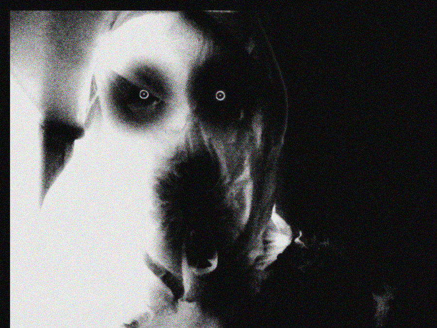 [Image - 631785] | Nightmare Fuel | Know Your Meme